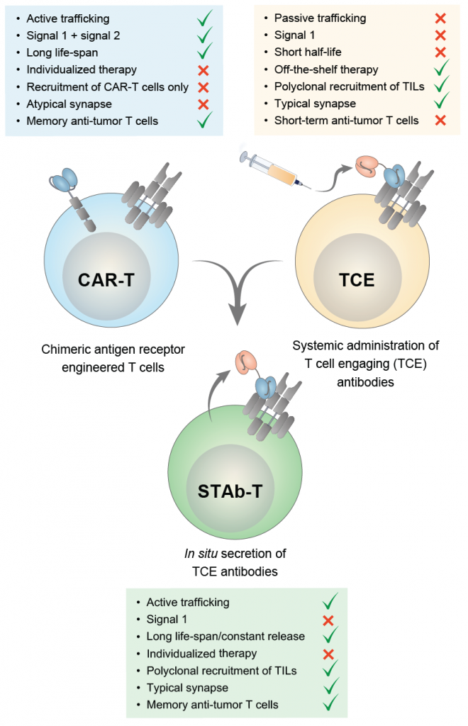 Home - StabTherapeutics.com